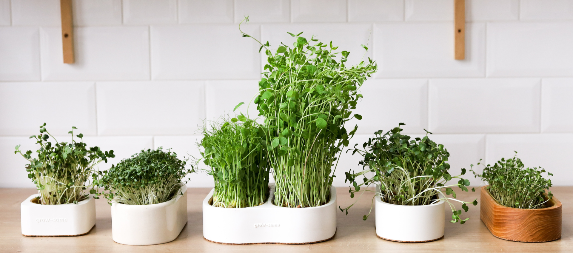 All products – grows-some